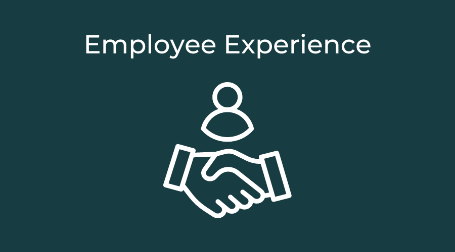 The Importance of Employee Experience
